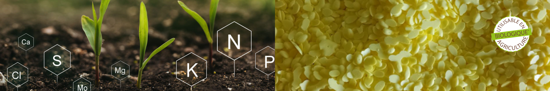 Fertitrade - Expert en engrais