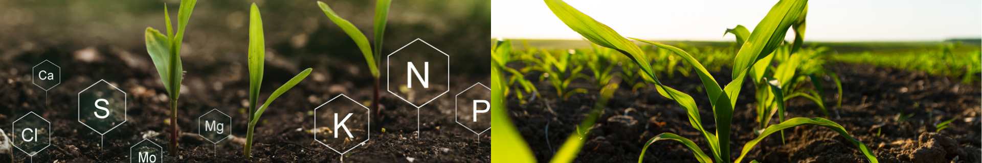 Fertitrade - Expert en engrais