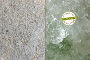 Biostimulants - Fertitrade - Expert en fertilisation